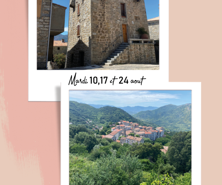 Alta Rocca - Côte des Nacres | L'essentiel de la Corse