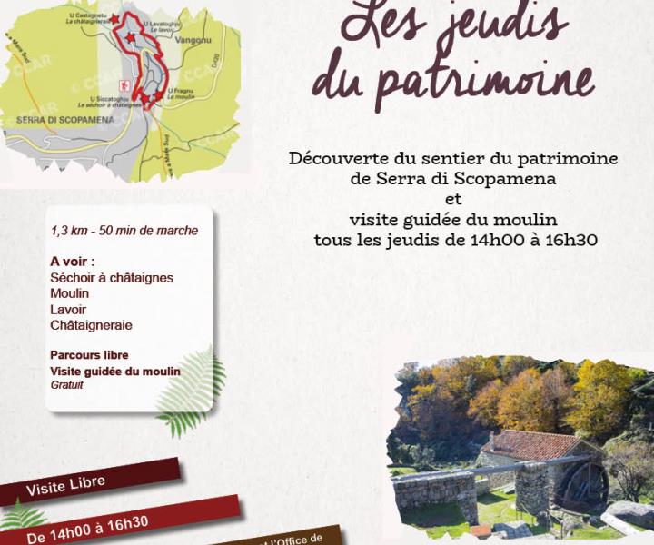 Alta Rocca - Côte des Nacres | L'essentiel de la Corse